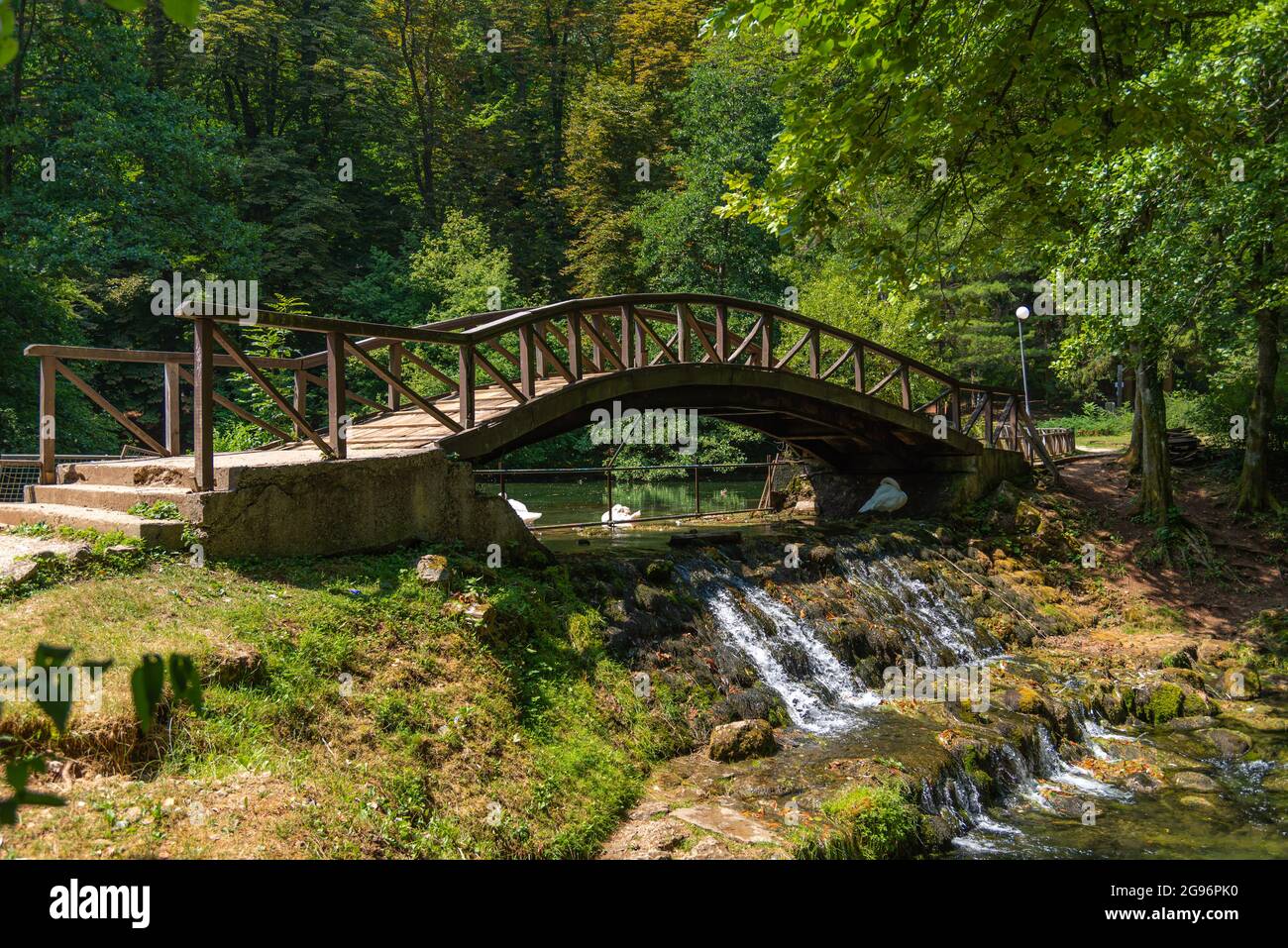Bridge over the river in the forest in spring Stock Photo - Alamy