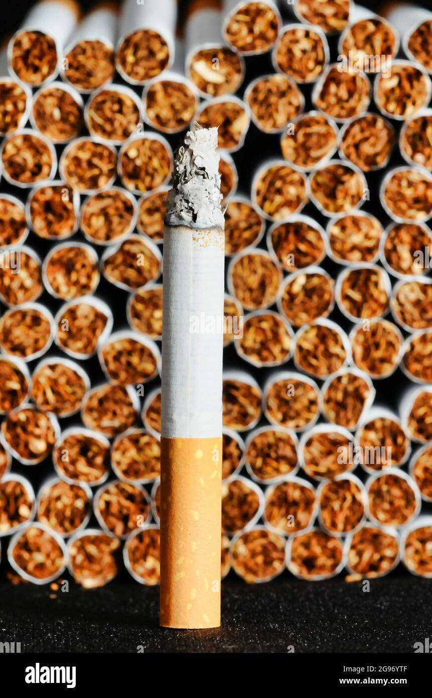 Vertical shot of a smoked cigarette in the background of many other ...