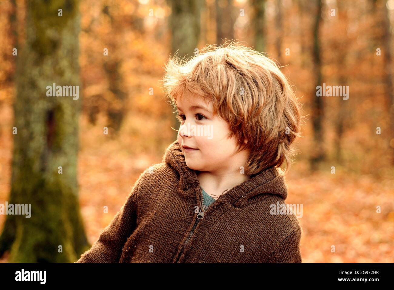 Autumn mood boy walking hi-res stock photography and images - Alamy