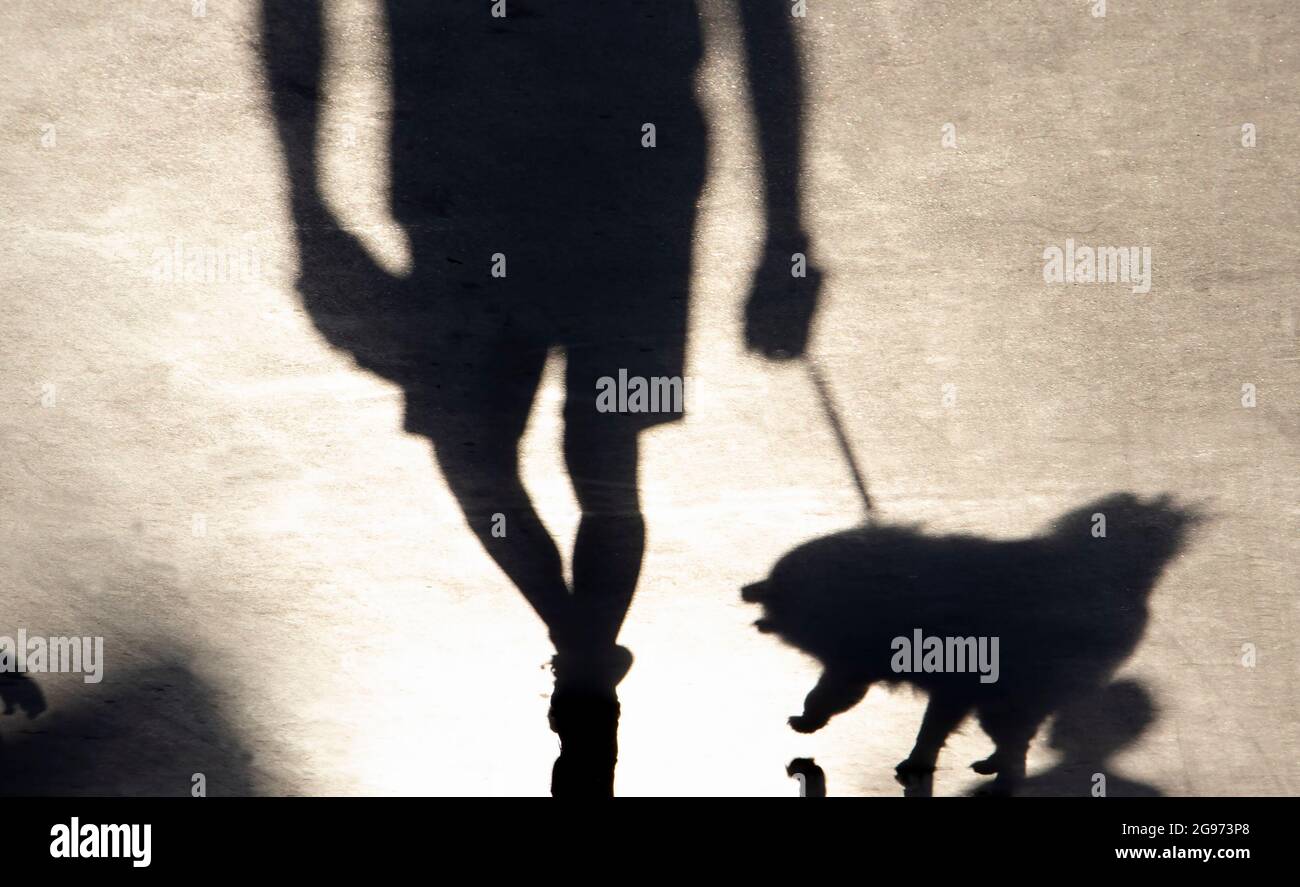 Shadow silhouette of a person walking a dog on a leash on a summer day ...
