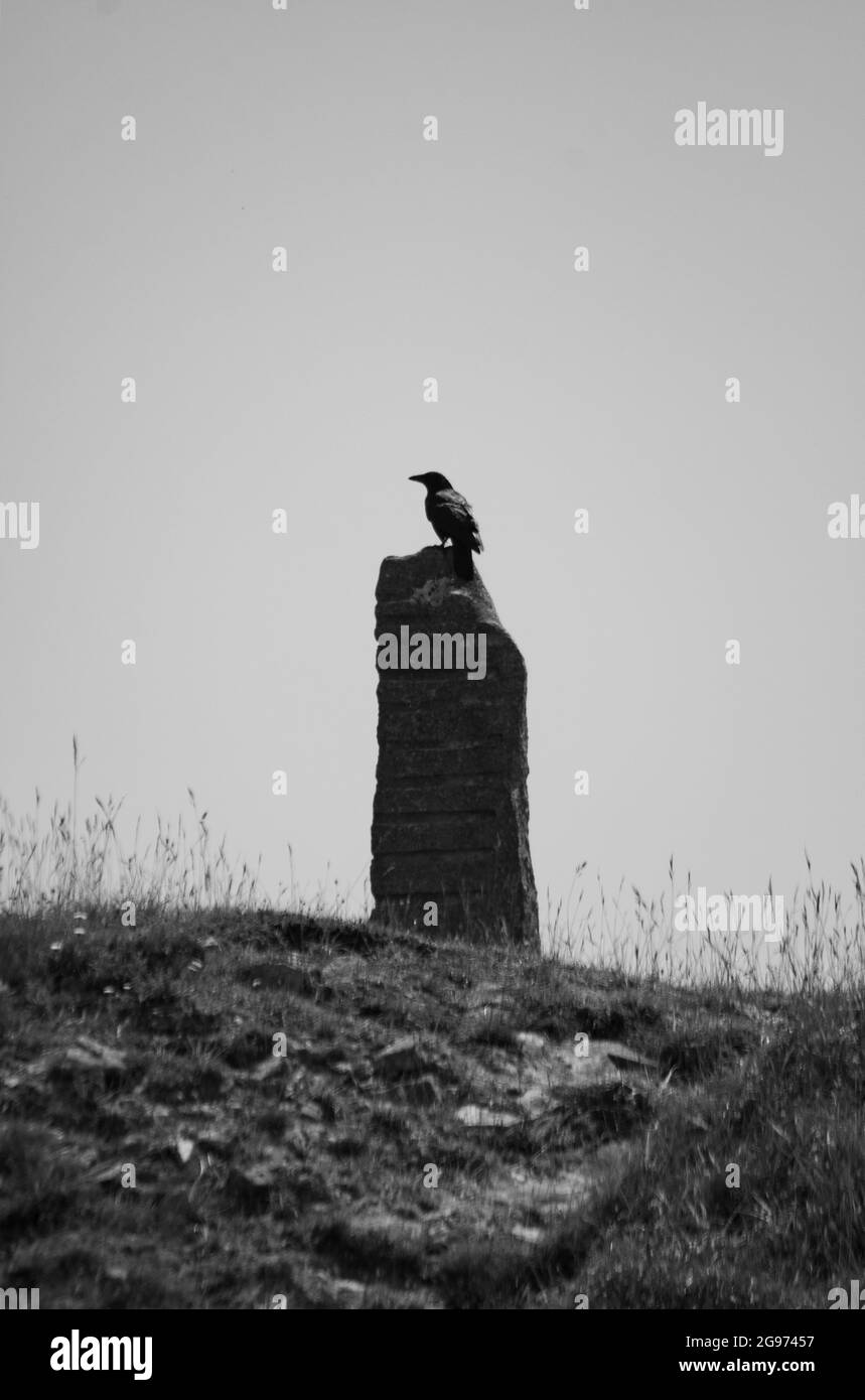 White bird summit hi-res stock photography and images - Alamy