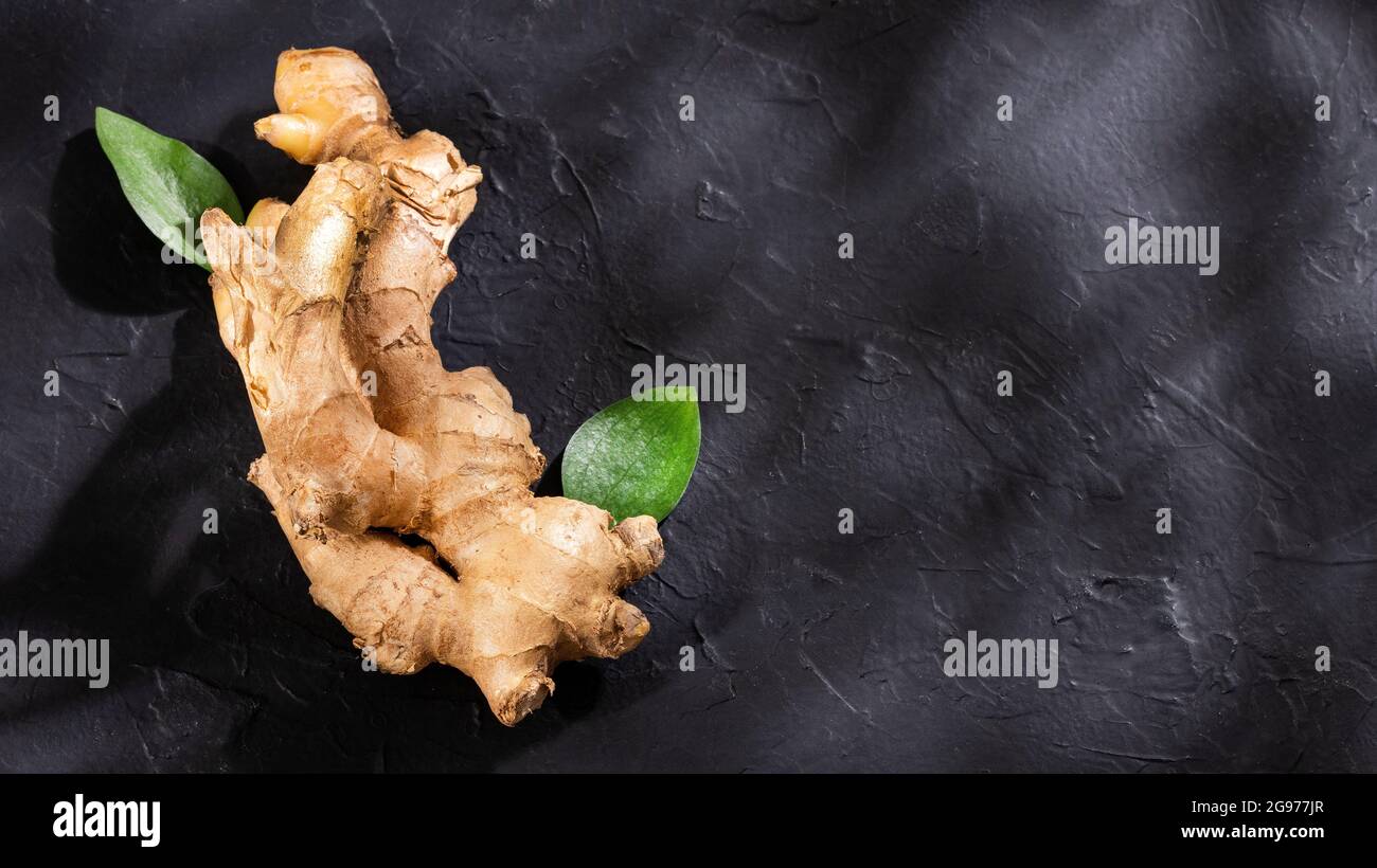 Organic fresh ginger root - Zingiber officinale Stock Photo - Alamy