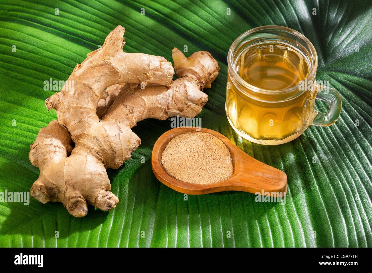 Organic ginger root tea - Zingiber officinale Stock Photo - Alamy