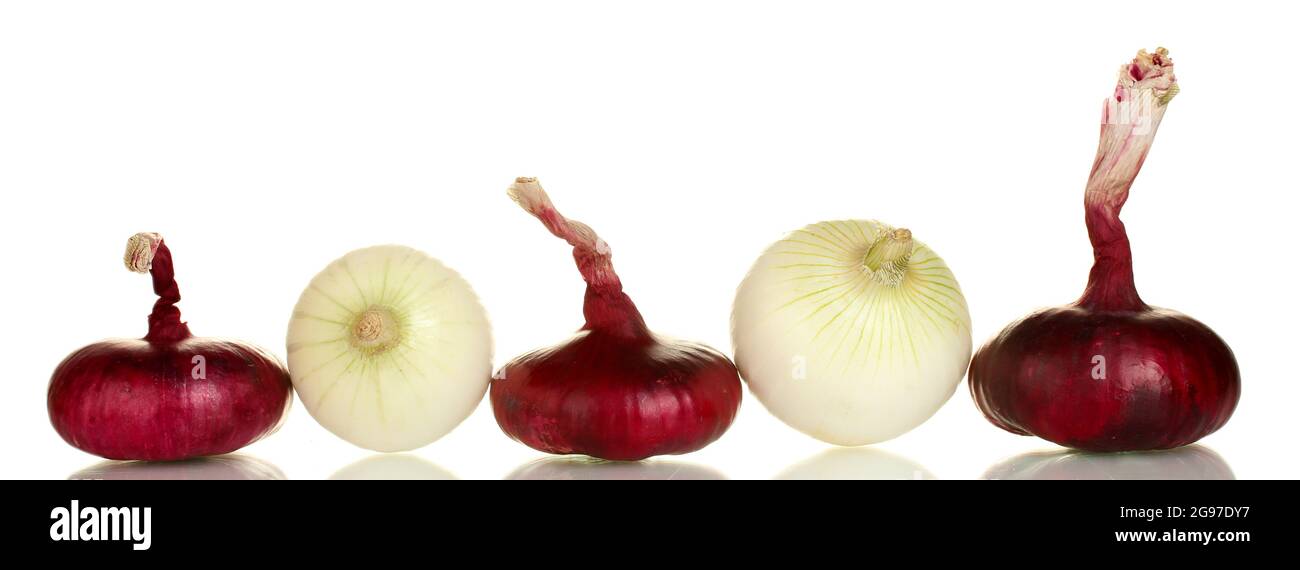 white and red onion isolated on white background Stock Photo - Alamy