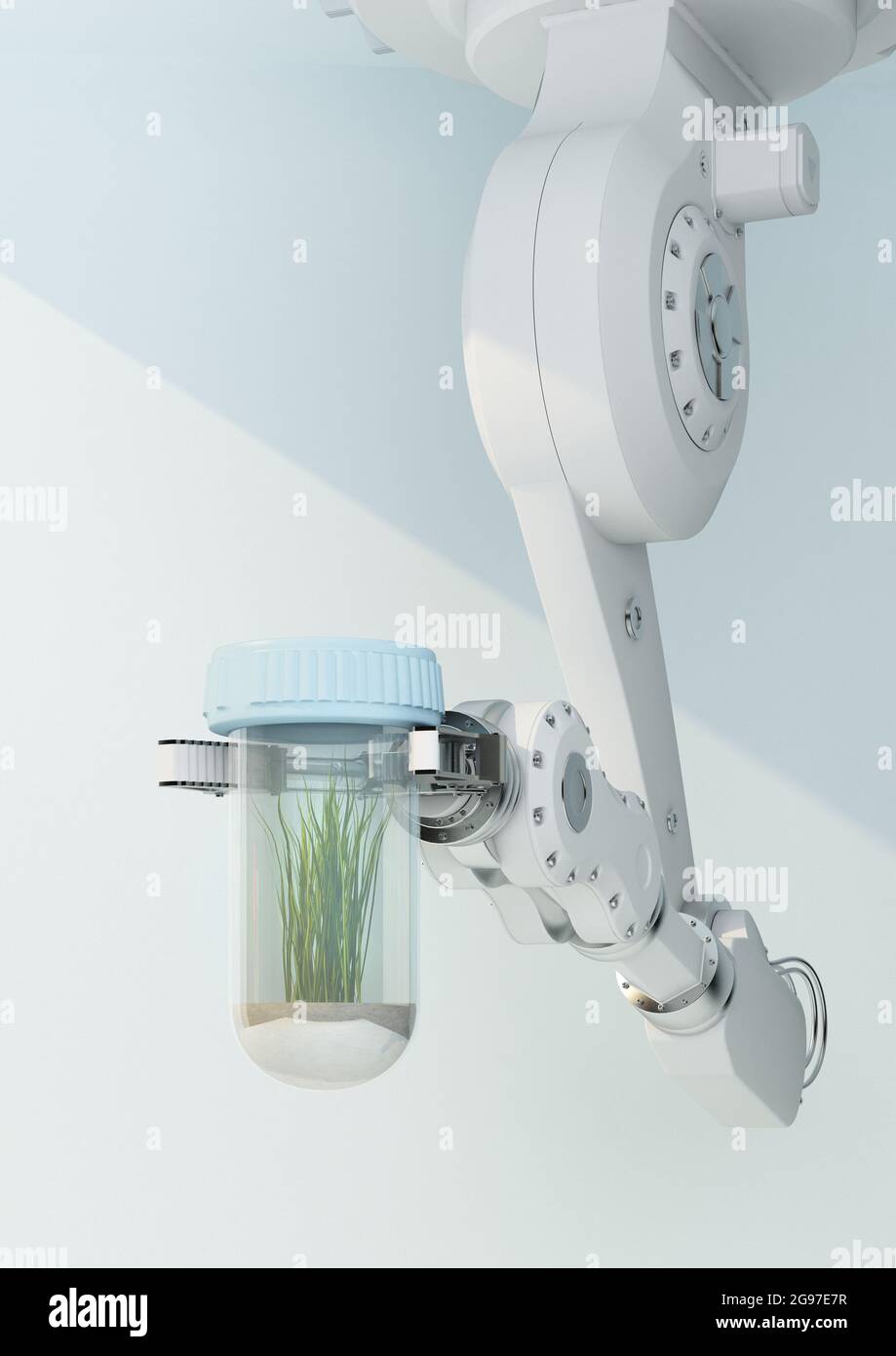 concept robotic arm holding capsule with seaweed. 3d rendering Stock ...