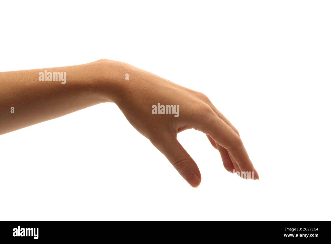 Woman's hand isolated on white Stock Photo - Alamy