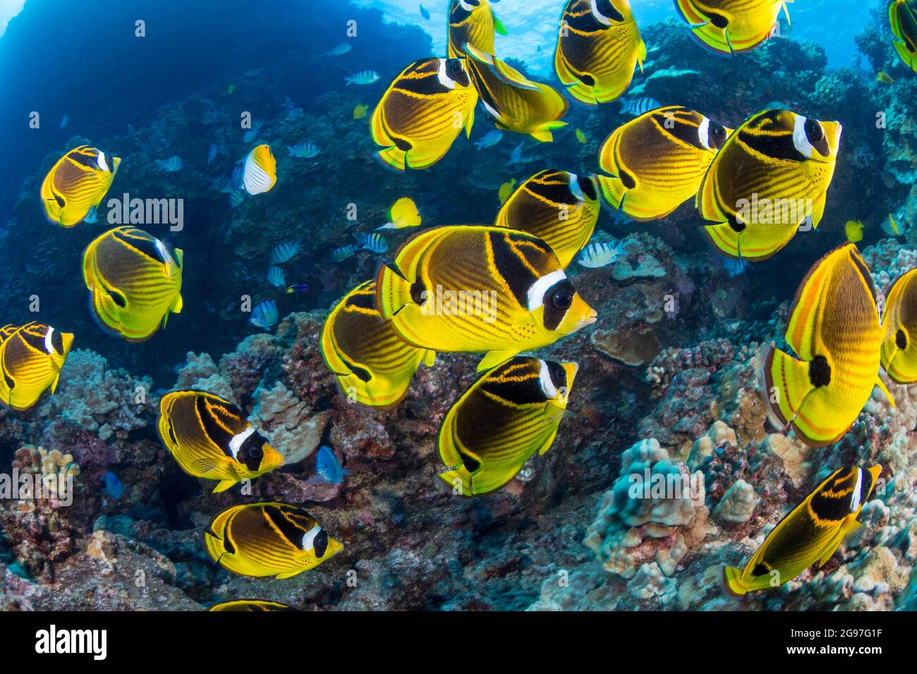 Underwaterpicture hi-res stock photography and images - Alamy