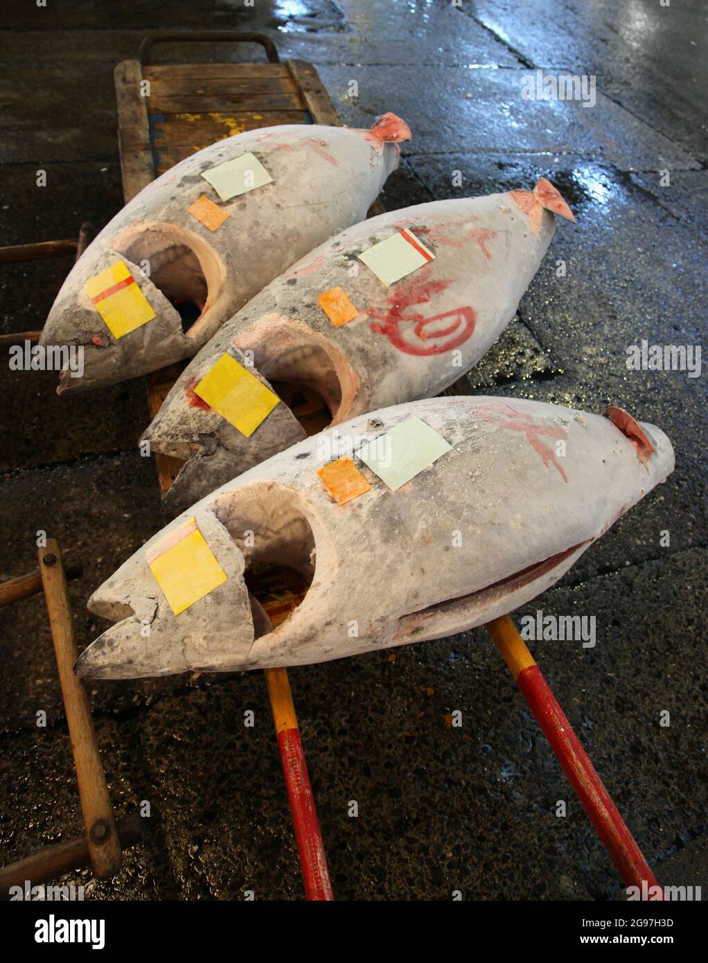 Giant Yellow fin Tuna for sale in a Tokyo fish market Stock Photo - Alamy