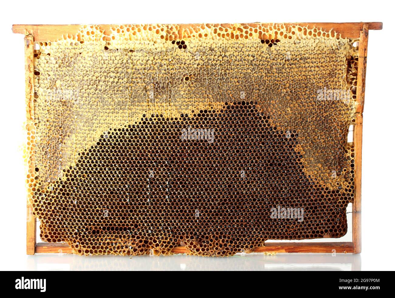 yellow beautiful honeycomb frame with honey, isolated on white Stock ...