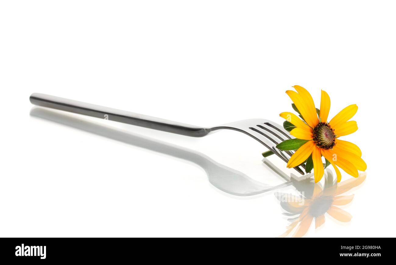 fork and flower, isolated on white Stock Photo - Alamy