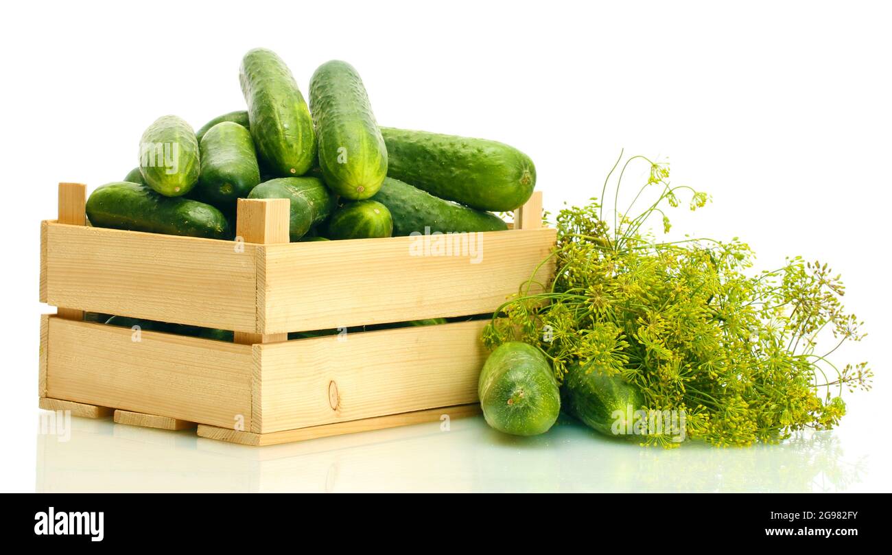fresh cucumbers in wooden box and dill isolated on white Stock Photo ...