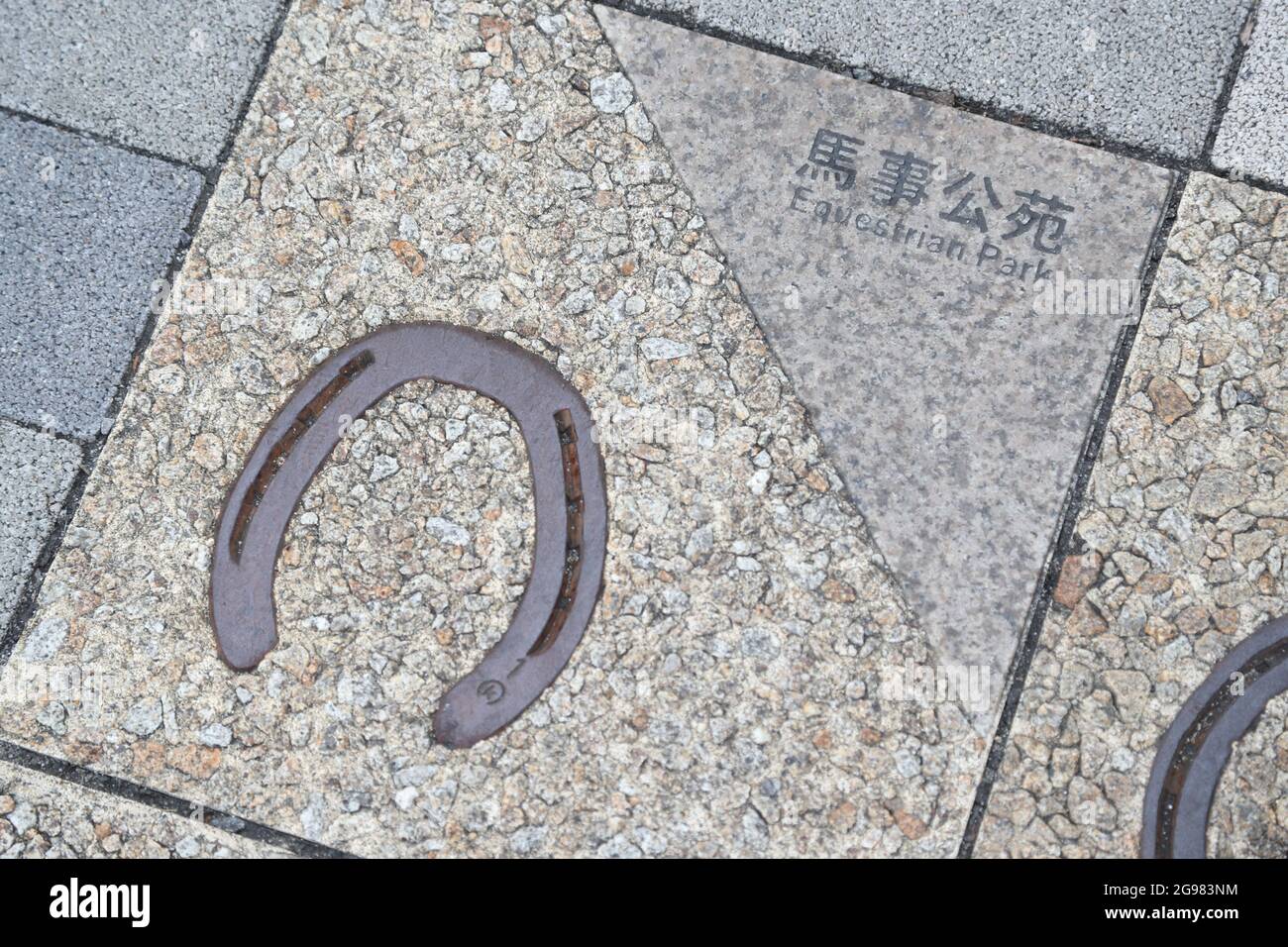 Tokio, Japan. 24th July, 2021. Equestrian sport/dressage: Olympics ...
