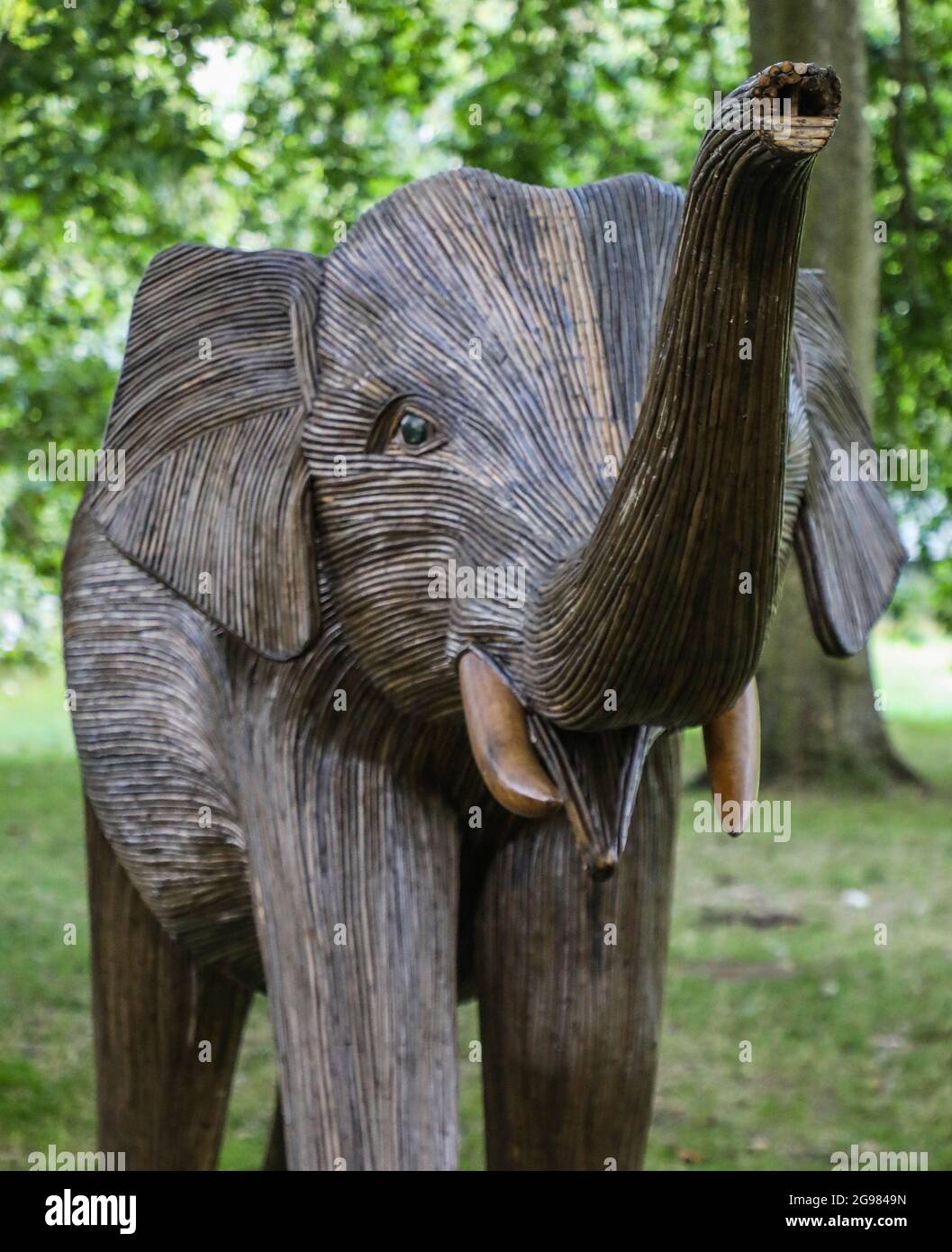 Life size elephant hi-res stock photography and images - Alamy