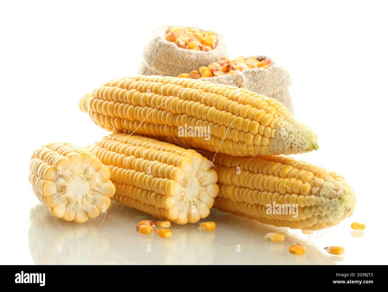 fresh corn and bags with dry corn, isolated on white Stock Photo - Alamy