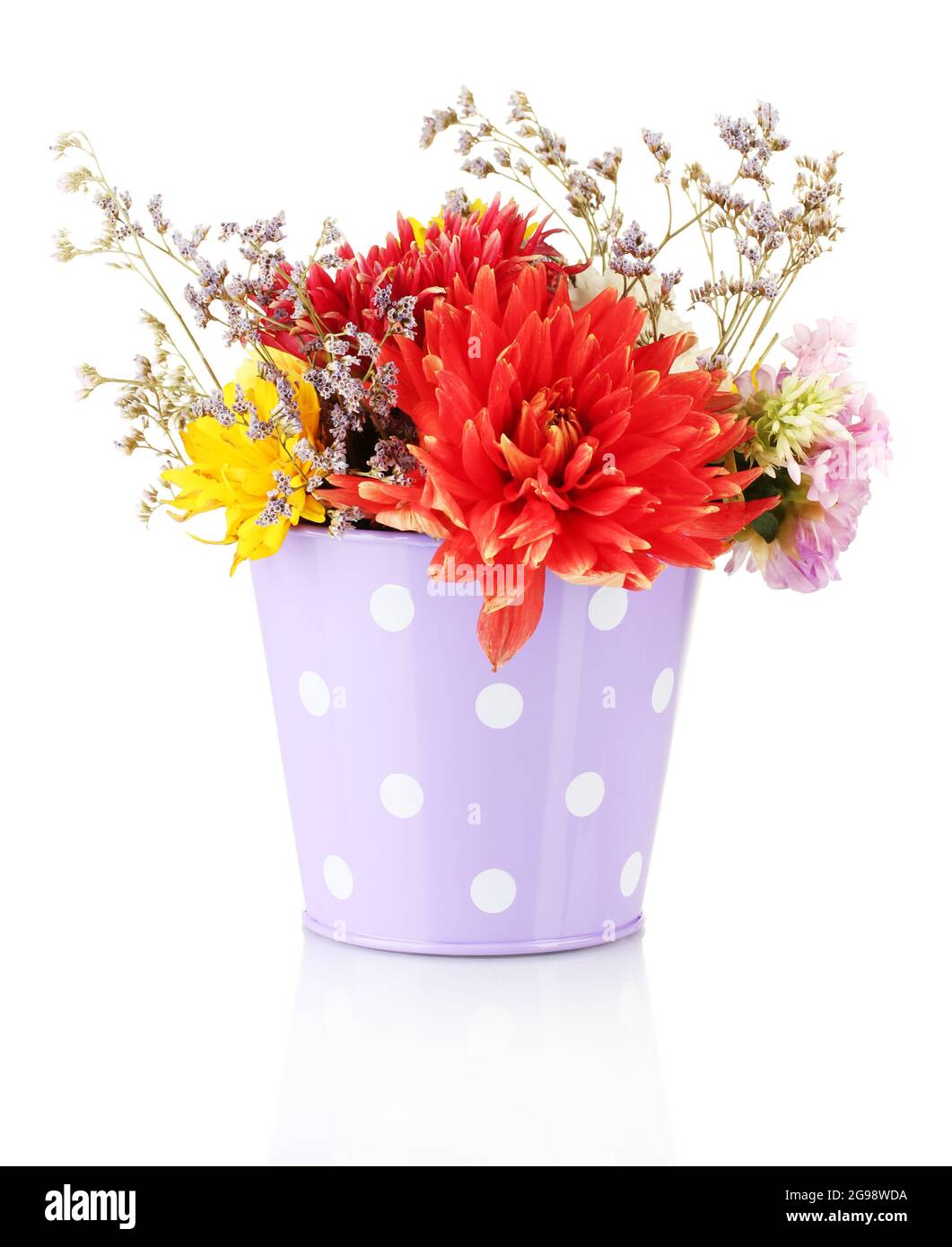 Purple bucket with white polka-dot with flowers isolated on white Stock ...