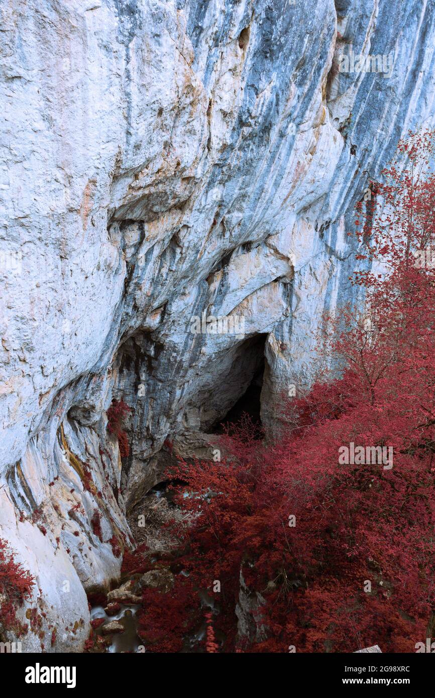 Dalbina cave in Apuseni Natural Park, image taken in autumn Stock Photo ...