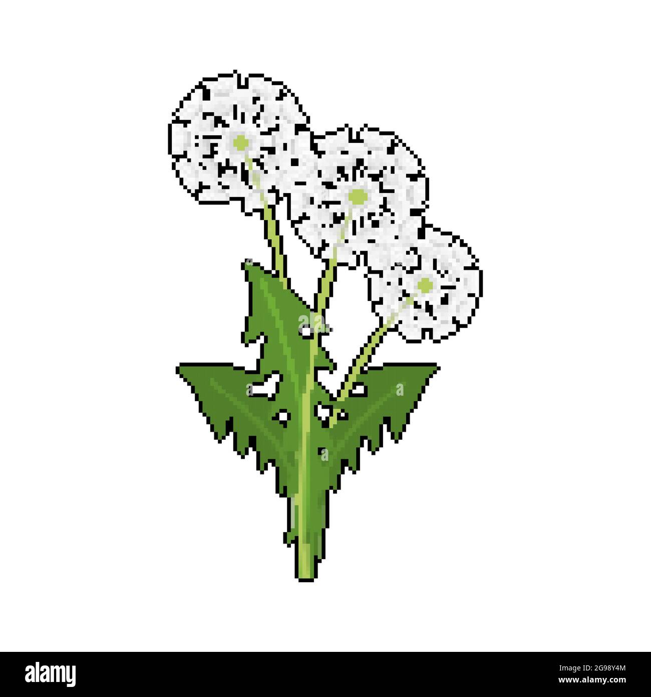 Perfect dandelion nature Stock Vector Images - Alamy