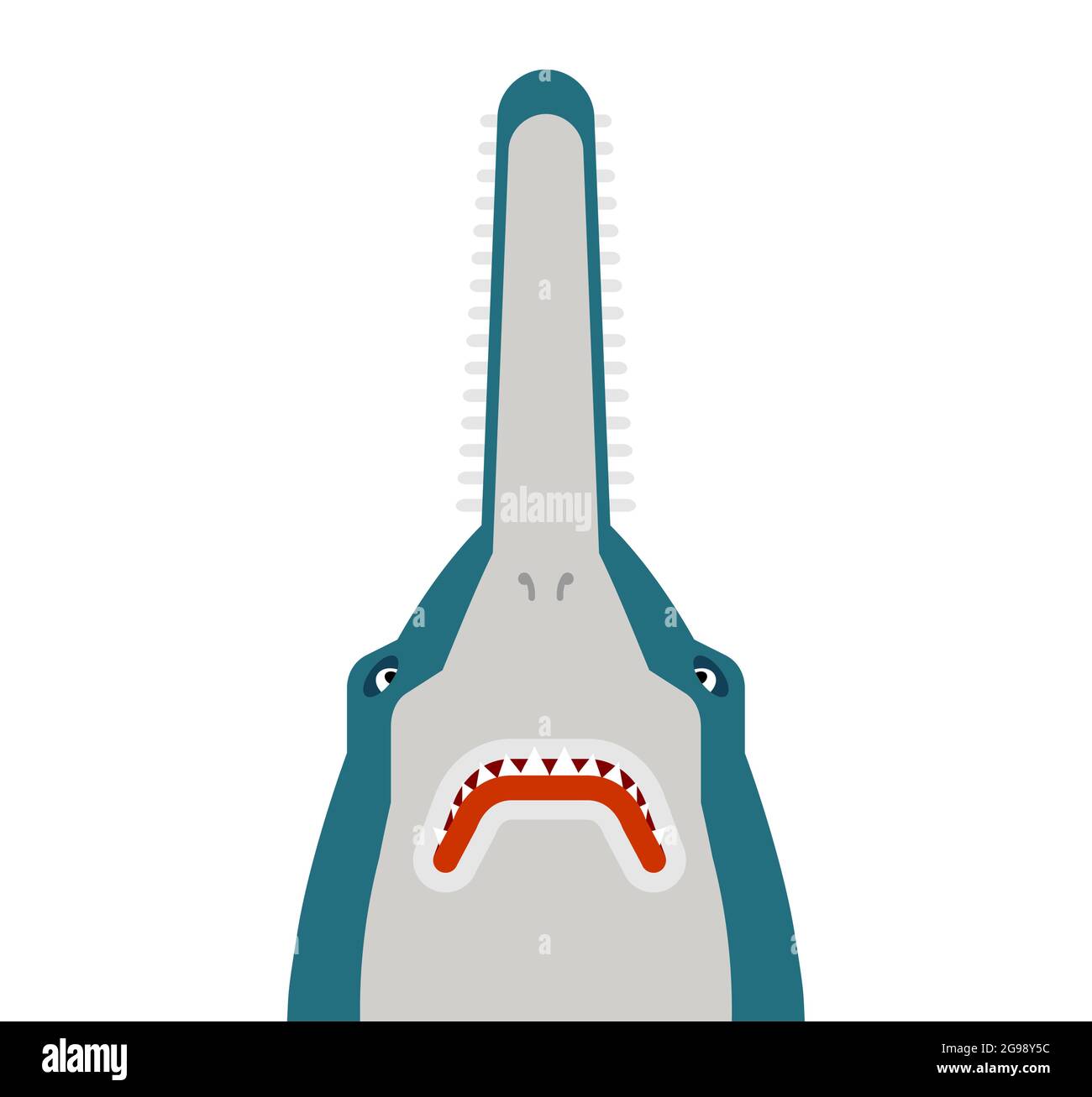 Sawfish head isolated. marine predator. vector illustration Stock ...