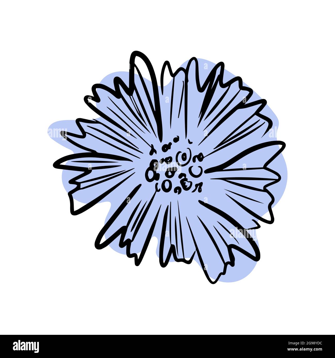 Cornflower with abstract shapes hand drawn illustration. Line art ...