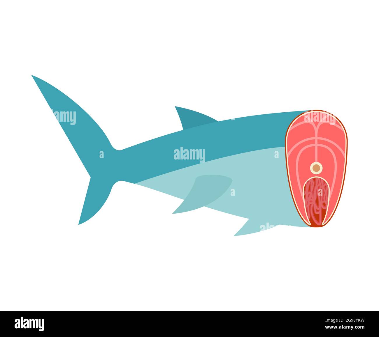 Piece of fish steak isolated. food vector illustration Stock Vector ...