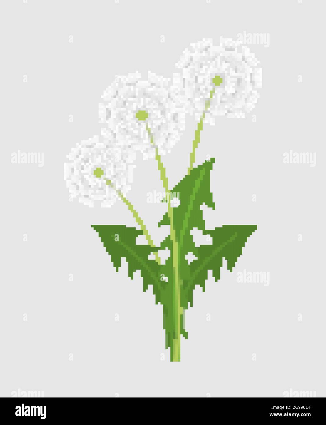 Taraxacum logo Stock Vector Images - Alamy