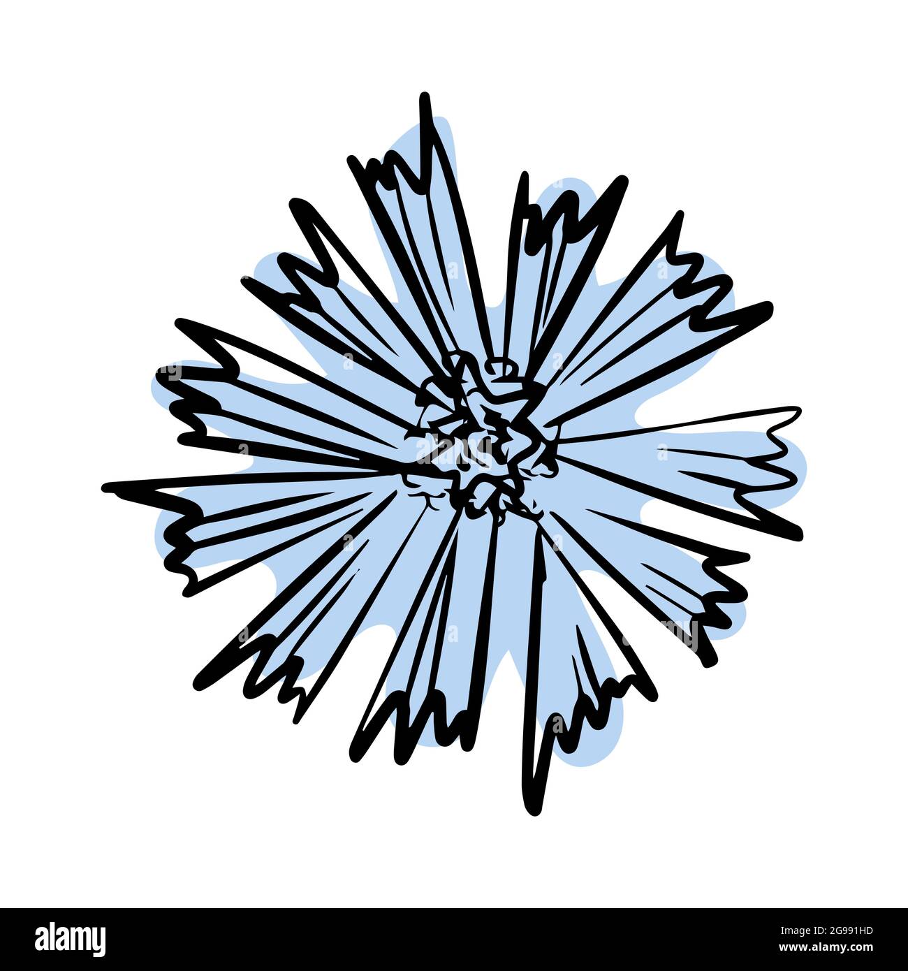 Cornflower with abstract shapes hand drawn illustration. Line art ...