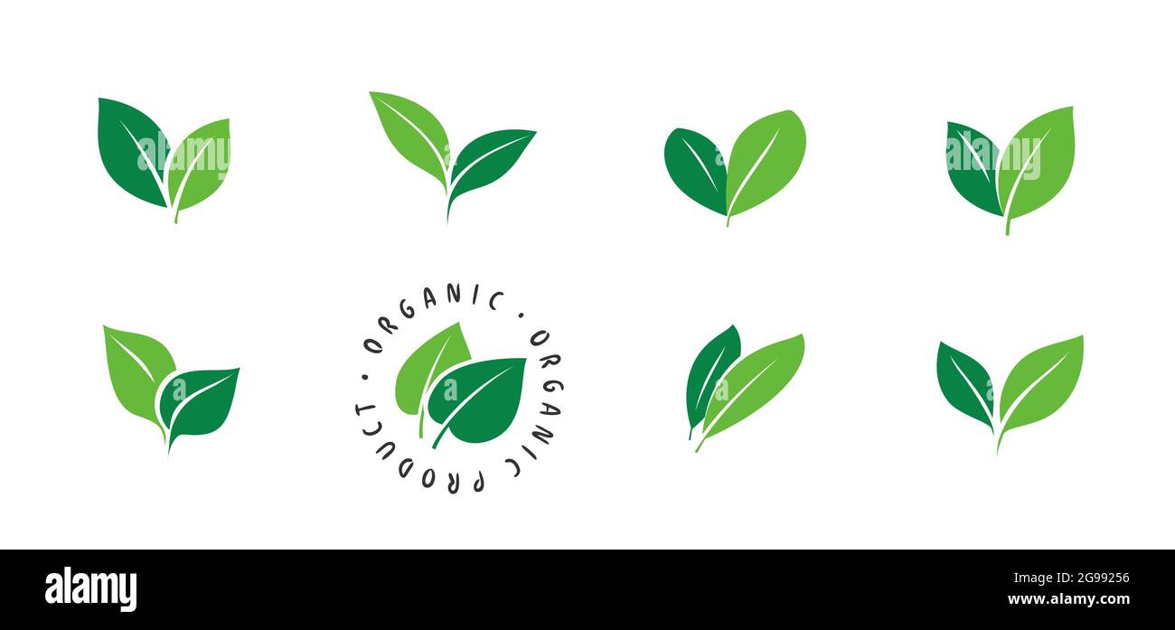 Green leaf icons set. Ecology, organic symbol isolated Stock Vector ...