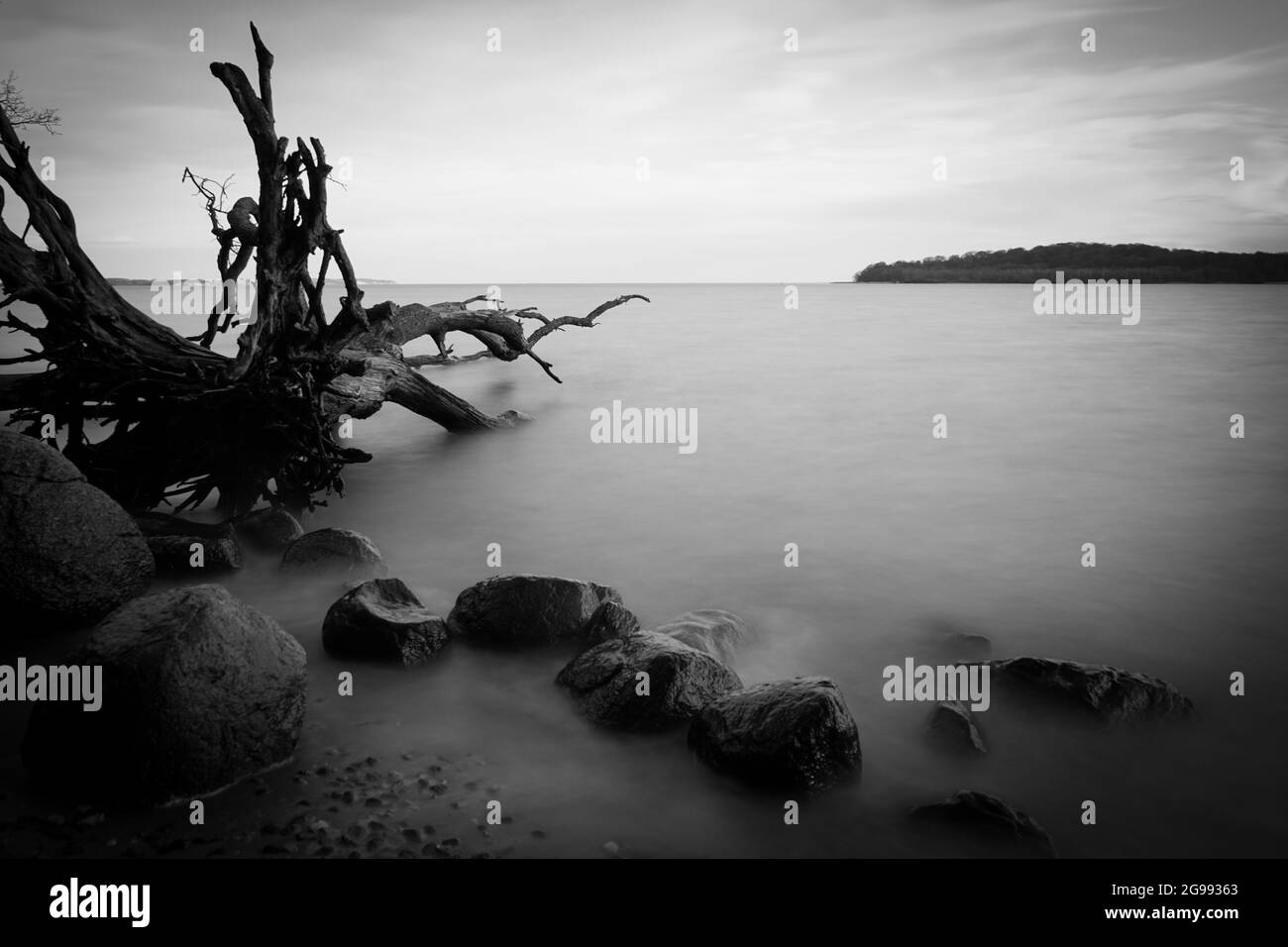 A long exposure shot of a beach with a dead tree trunk fallen in water ...