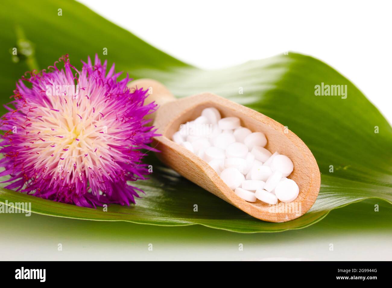 homeopathic tablets and flower on green leaf isolated on white Stock ...