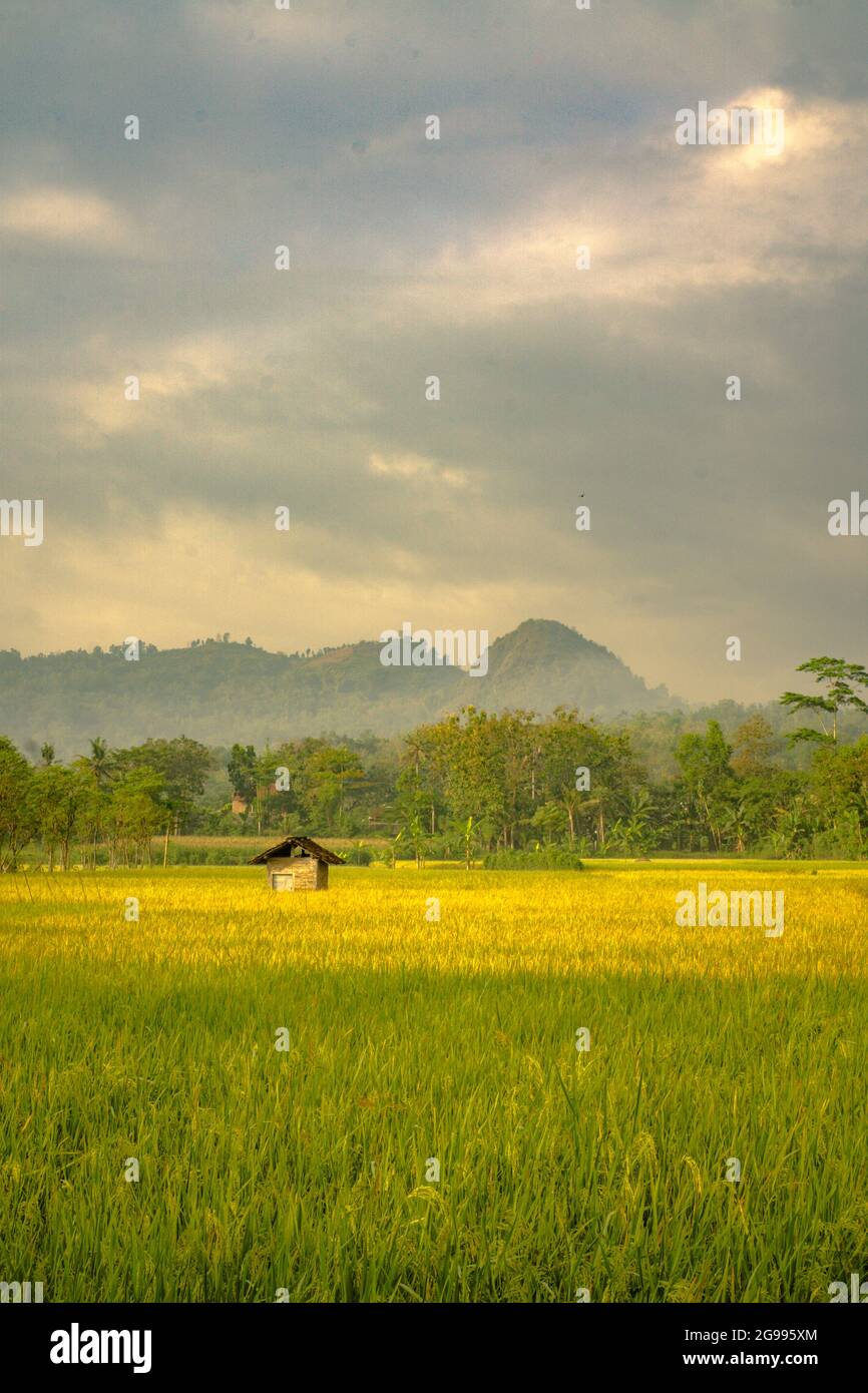 House in Field and Sunrise Stock Photo - Alamy