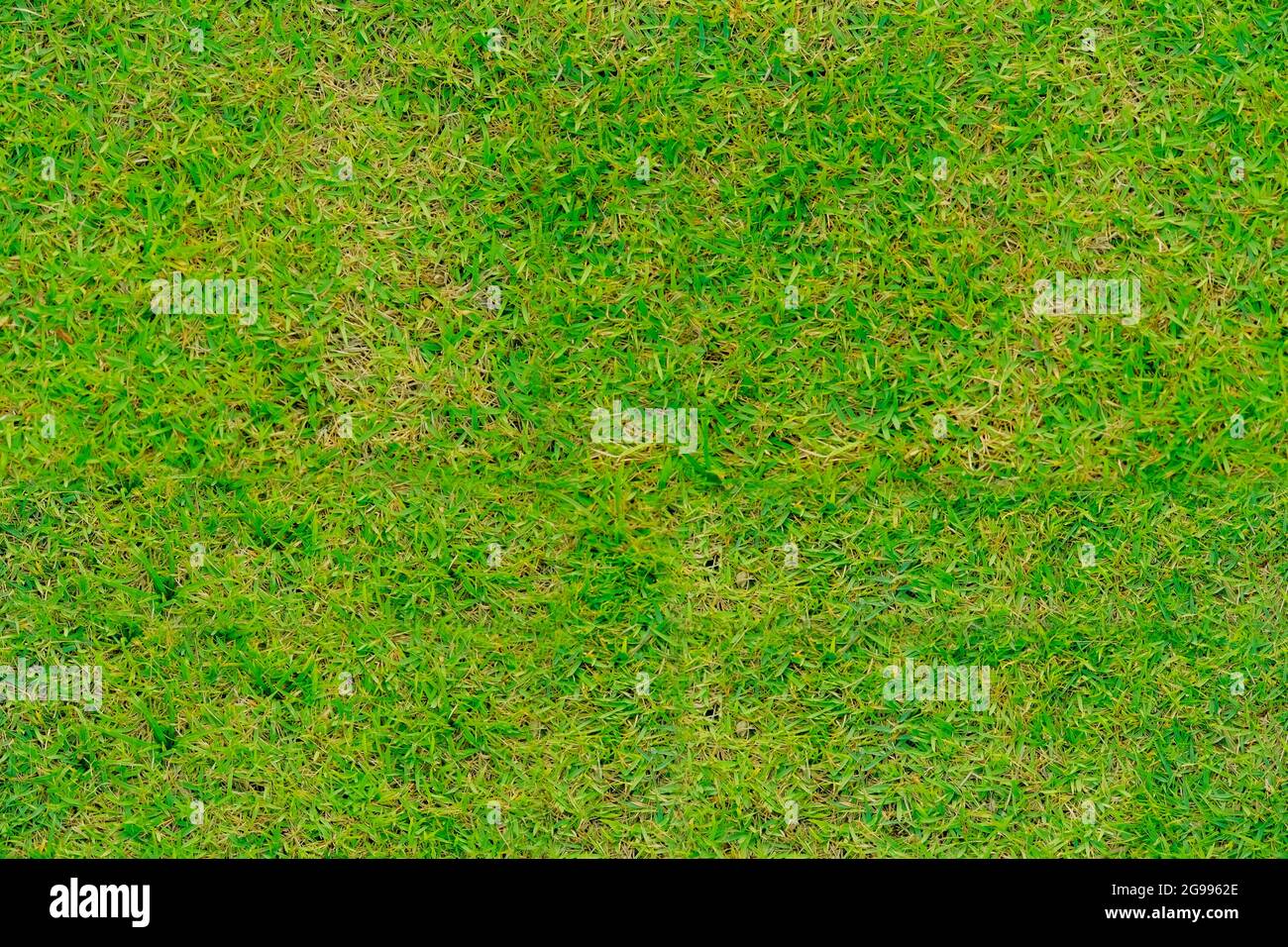 Texture mapping hi-res stock photography and images - Alamy