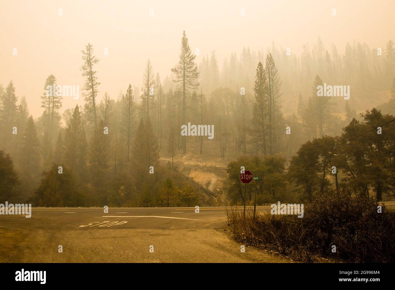 Heavy smoke blankets the area around the fire. The Dixie fire continues ...