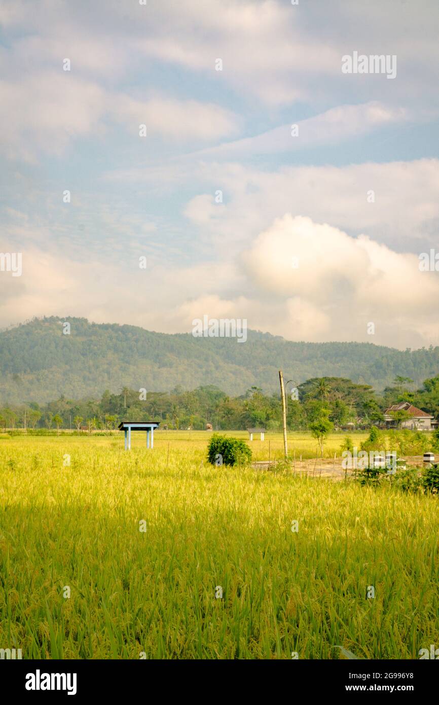 Scenic view agriculture field mountain hi-res stock photography and ...