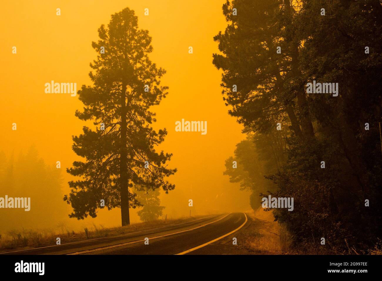 Heavy smoke blankets the area around the fire. The Dixie fire continues ...
