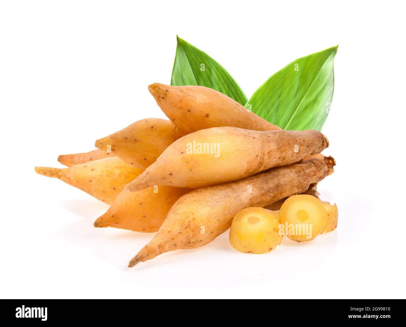 Fingerroot with leaf on white background Stock Photo - Alamy