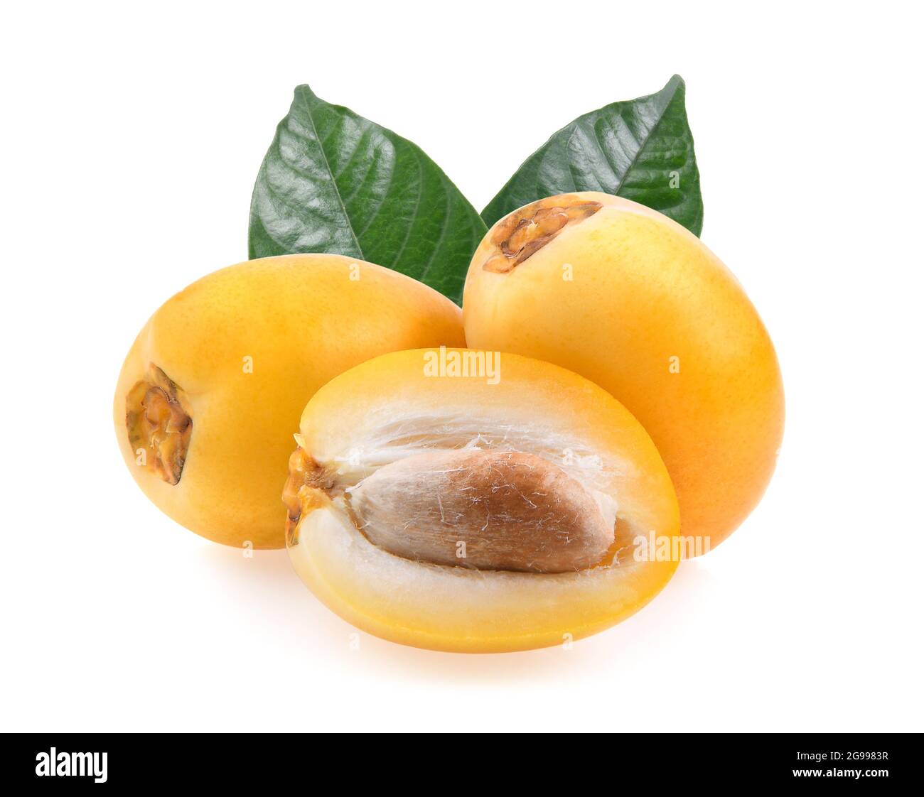 Dates fruit tree Cut Out Stock Images & Pictures - Alamy