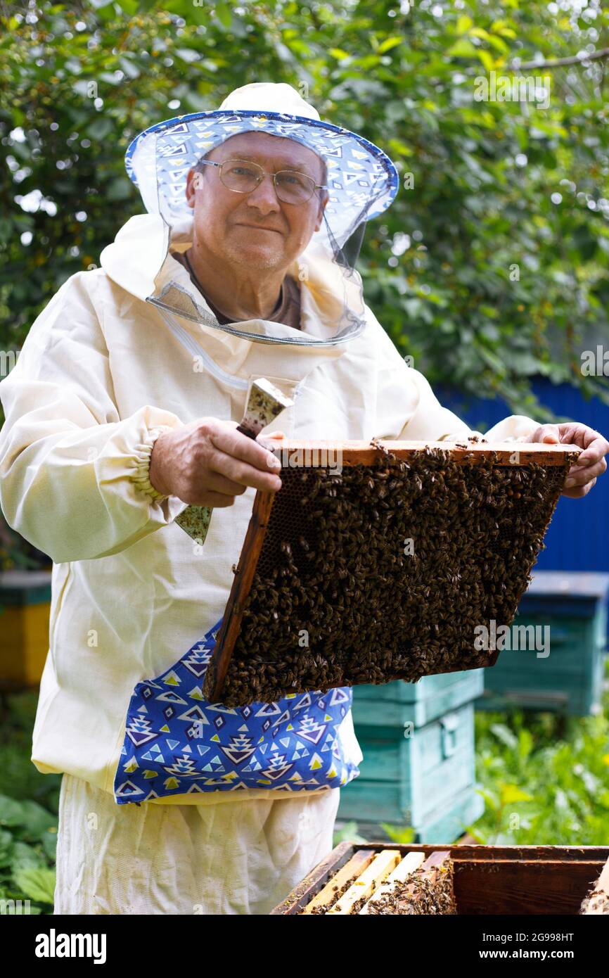 Beekeeper is working with bees and beehives Stock Photo - Alamy