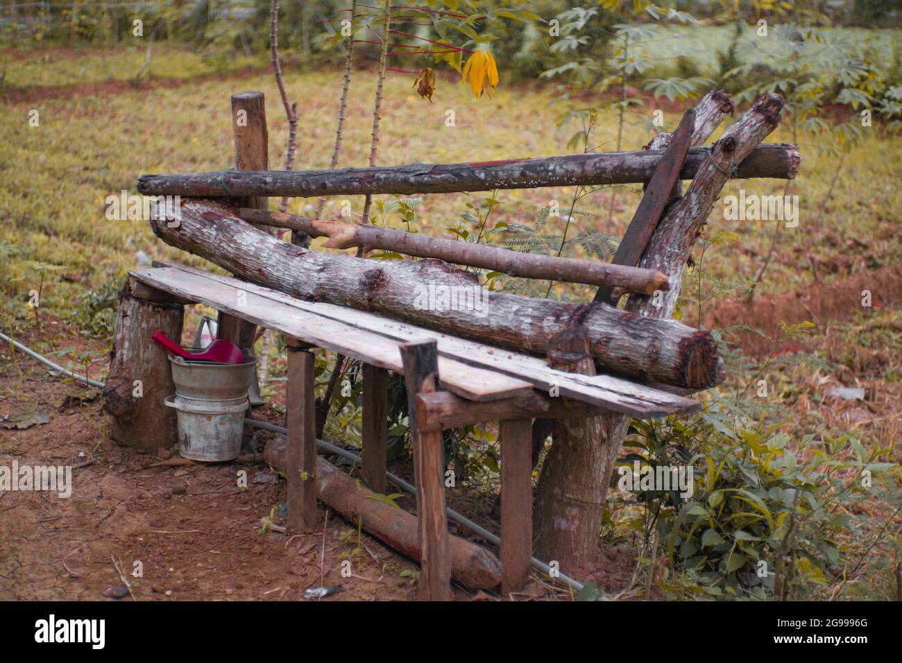 Wooden bench for rest and camping in forest look natural Stock Photo ...