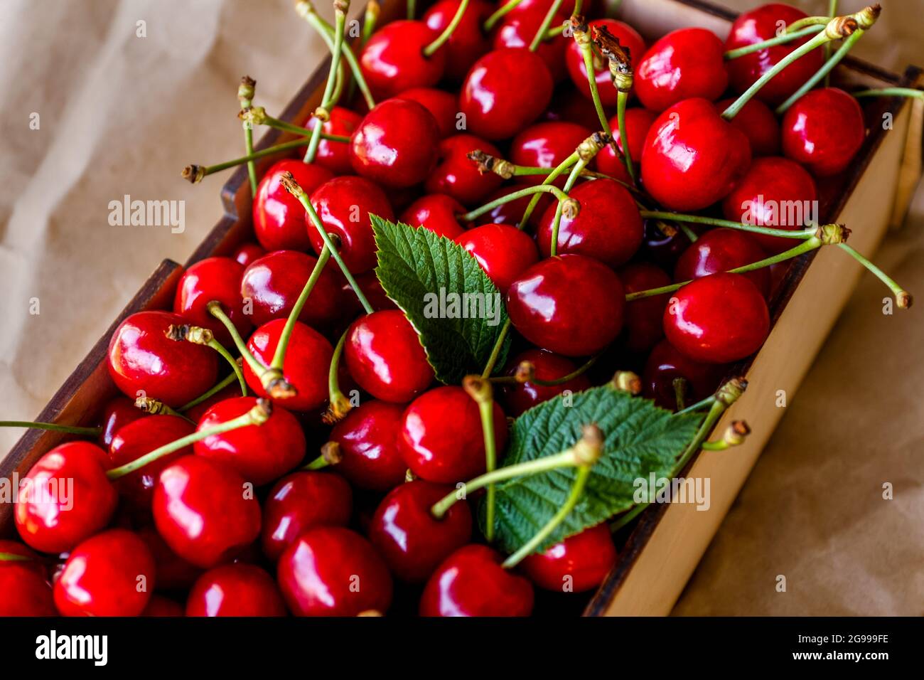 Close-up cropped box, crape of dark red sweet cherries with tail and ...