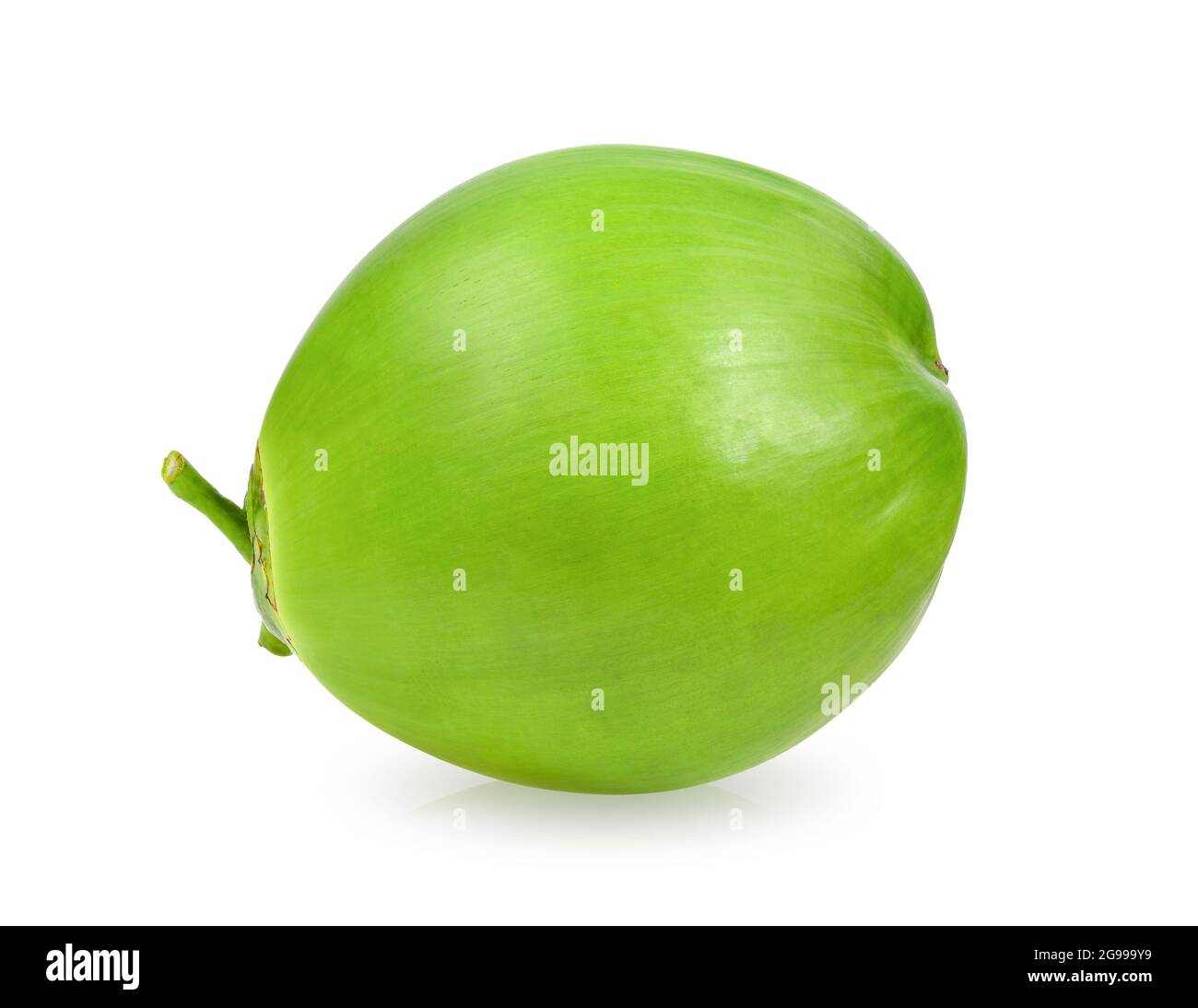 green coconut isolated on white background Stock Photo - Alamy