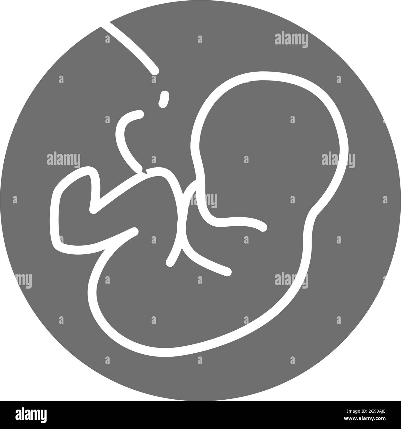 Ultrasound fetus in womb Stock Vector Images - Alamy
