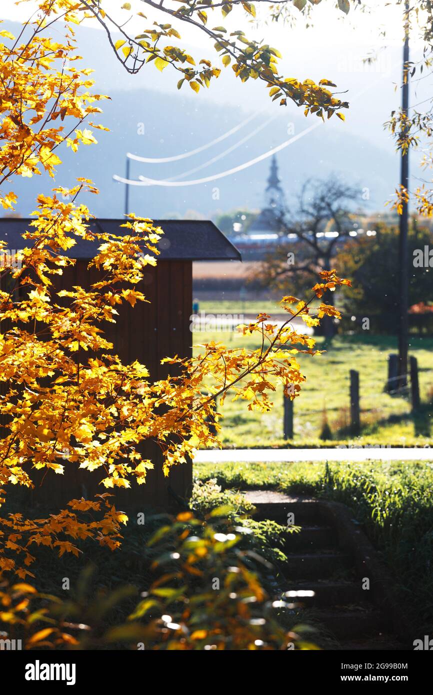 the beautiful landscape. autumn tree and small town in the background ...