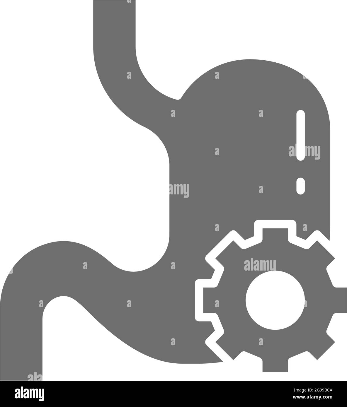 Gastric physiology of digestion Black and White Stock Photos & Images ...