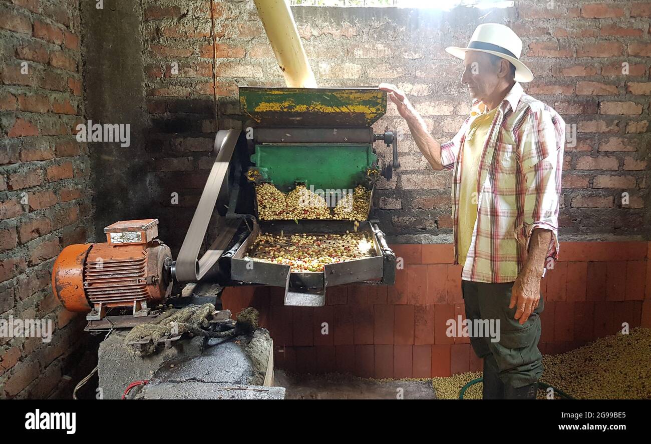 Sorting nuts hi-res stock photography and images - Alamy