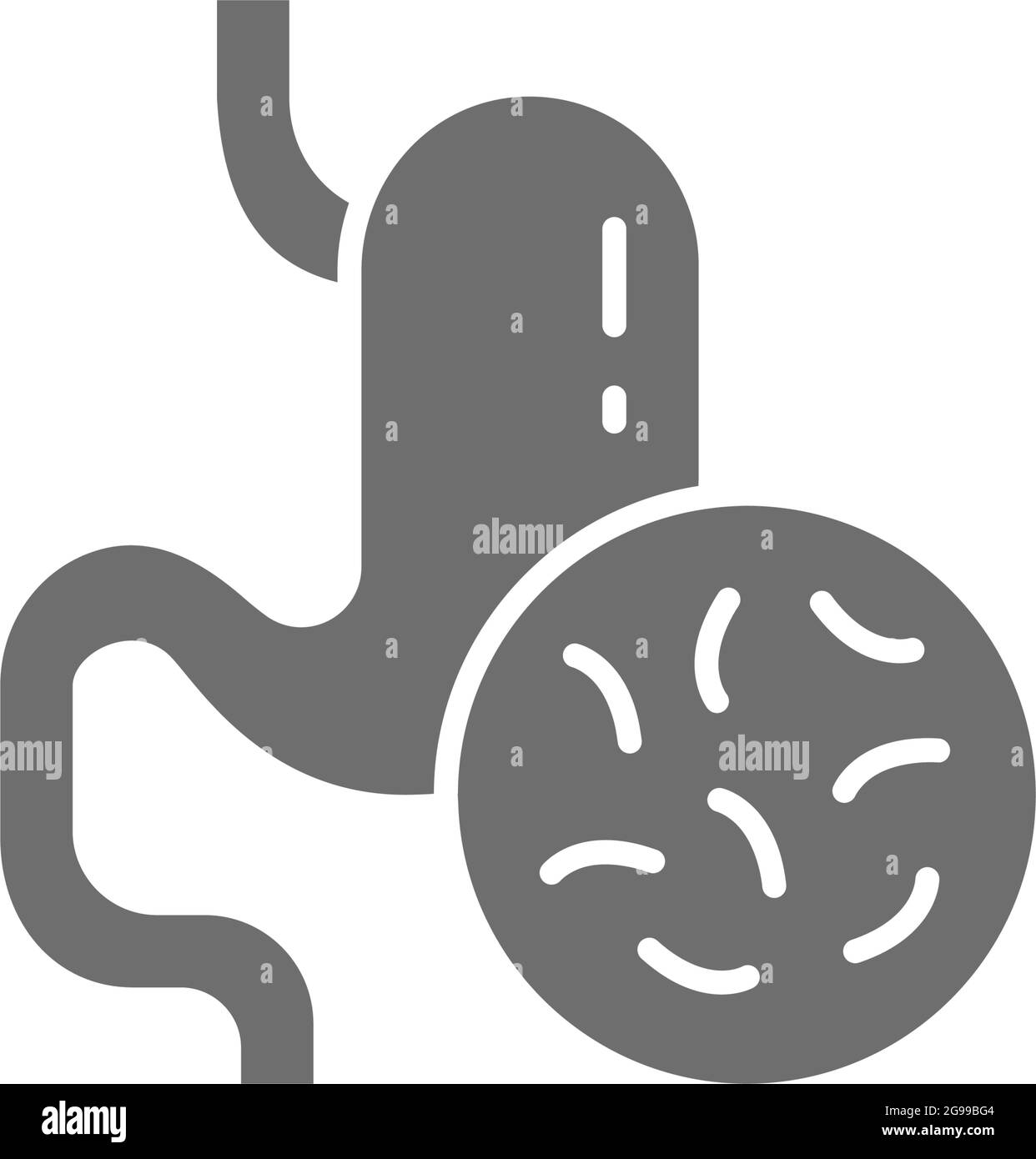 Bacteria in the stomach, infection grey icon Stock Vector Image & Art ...