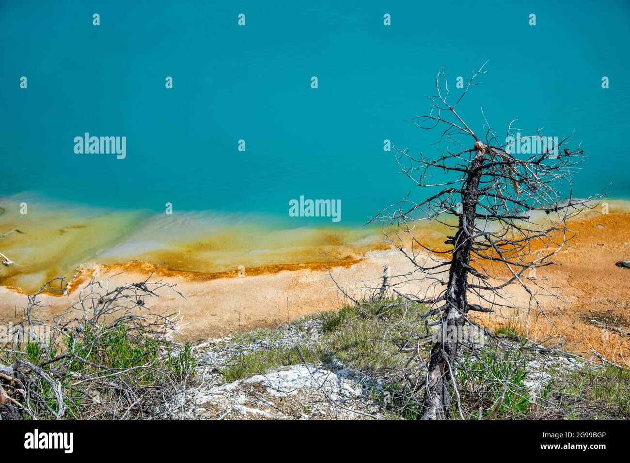 Colorful natural geyser pool in Yellowstone Stock Photo - Alamy