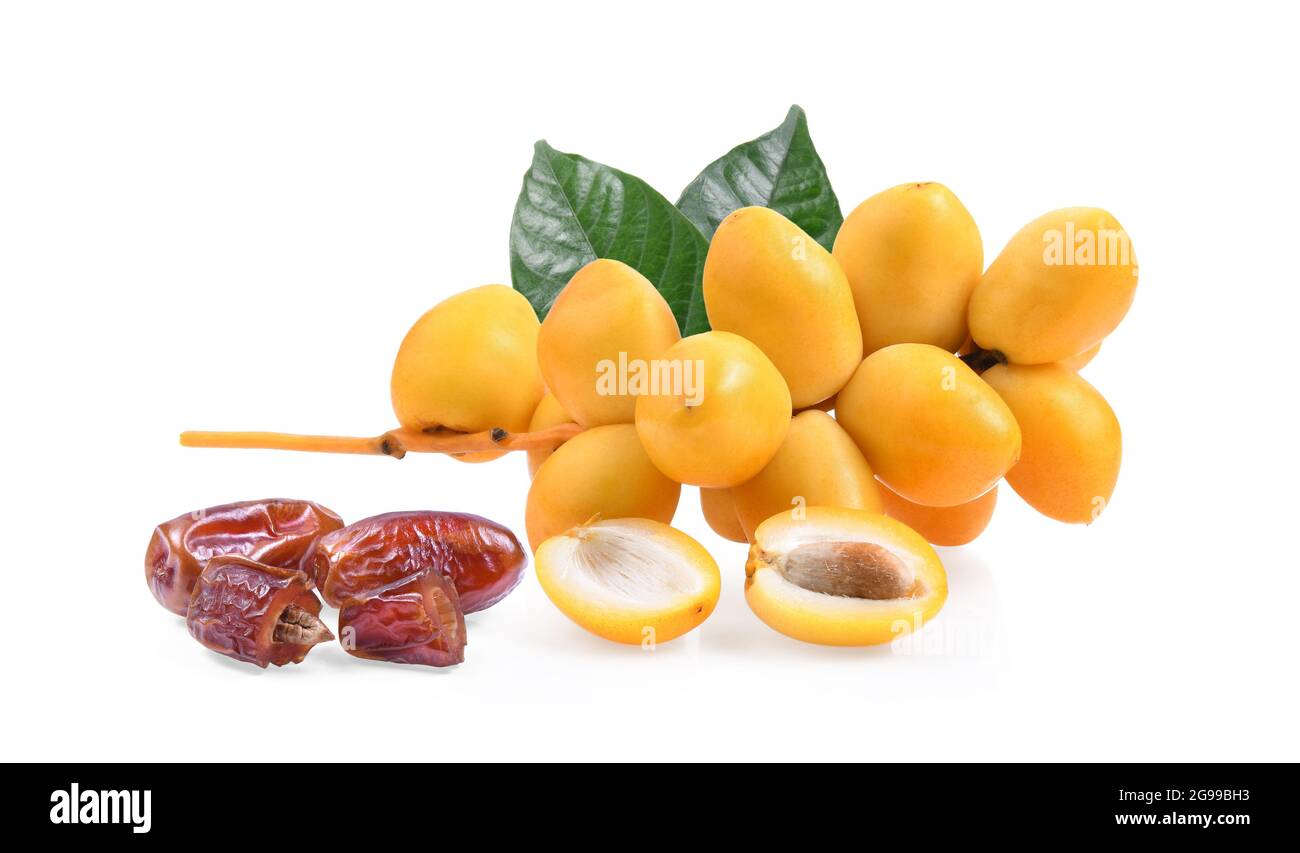 fresh and dry date palm fruit on whitebackground Stock Photo - Alamy