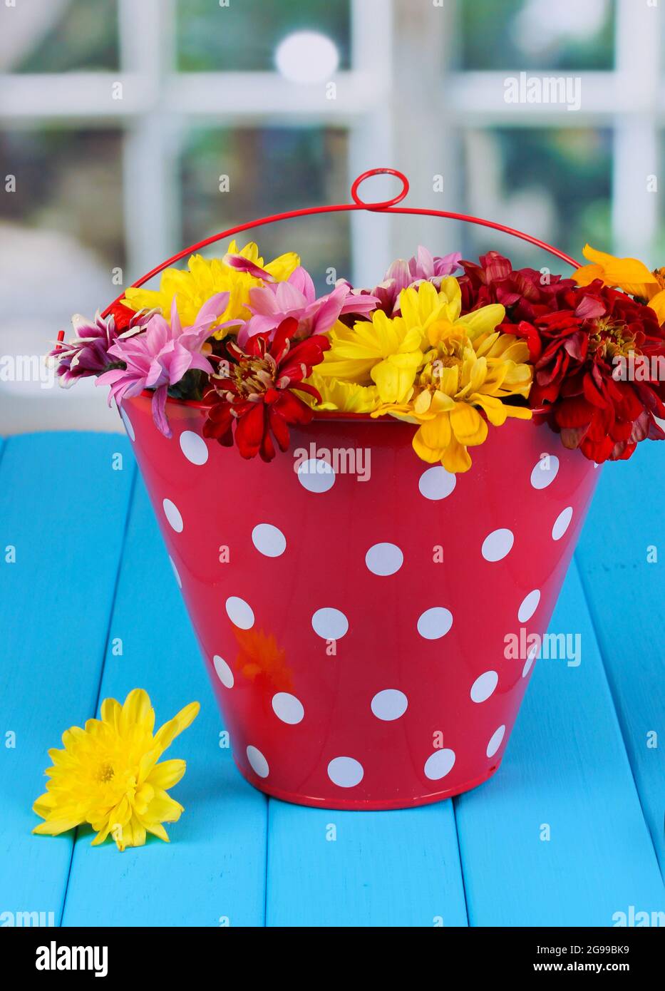 Red pail of peas with flowers on blue wooden table on window background ...