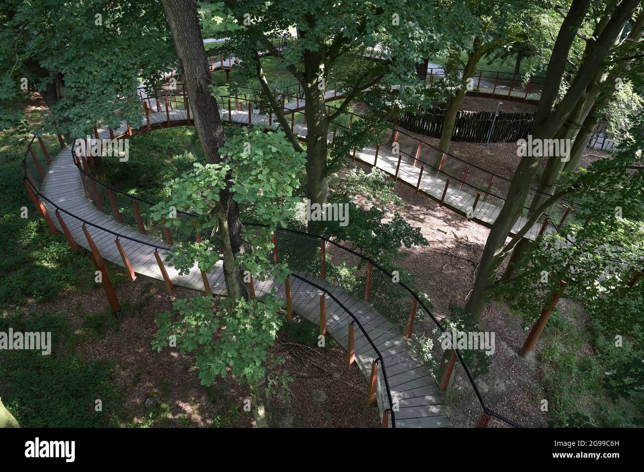 GERMANY, Stavenhagen, National Nature monument, Ivenacker Eichen, 1000 ...