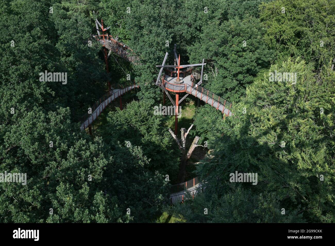 GERMANY, Stavenhagen, National Nature monument, Ivenacker Eichen, 1000 ...
